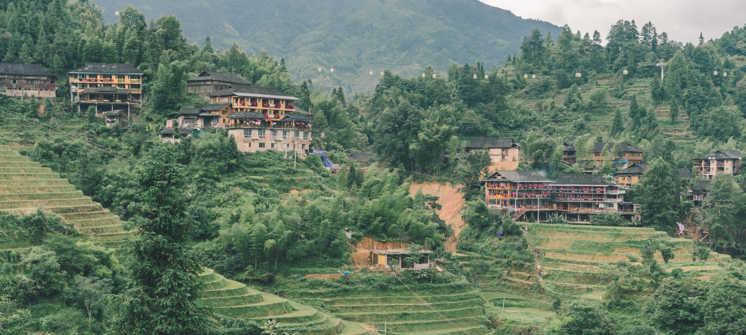 Hiking the Longji Rice Terraces: A Complete Guide