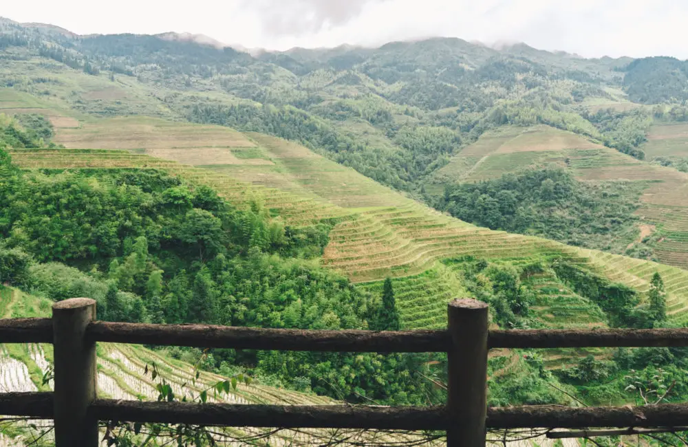 Hiking the Longji Rice Terraces: A Complete Guide