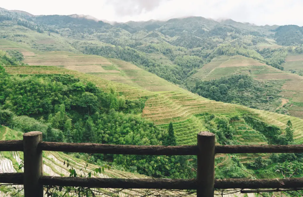 Hiking the Longji Rice Terraces: A Complete Guide