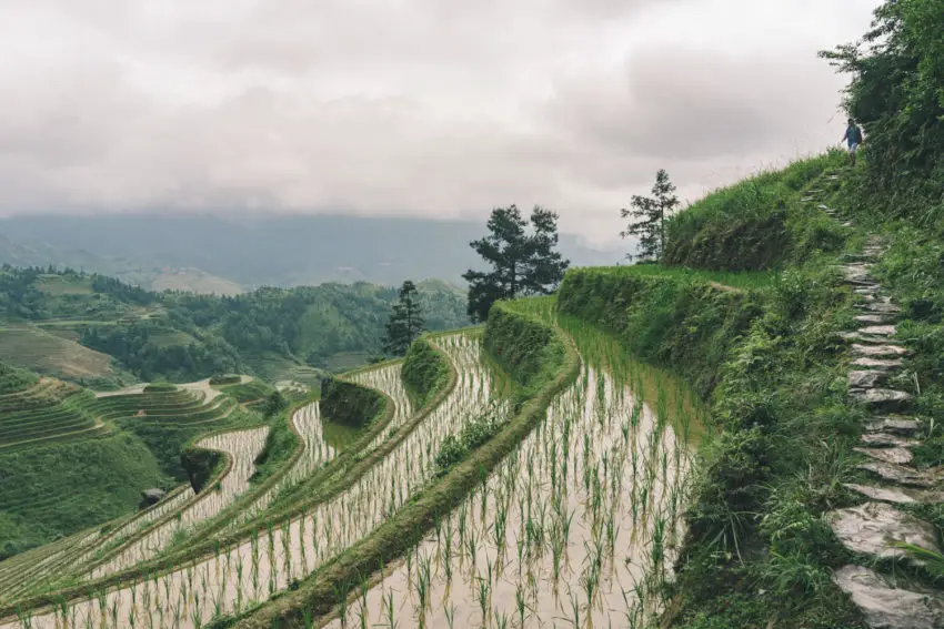Hiking the Longji Rice Terraces: A Complete Guide