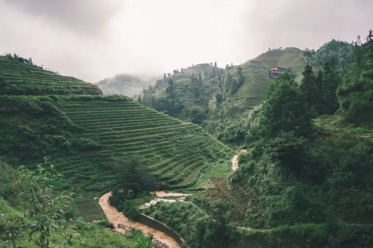Hiking the Longji Rice Terraces: A Complete Guide