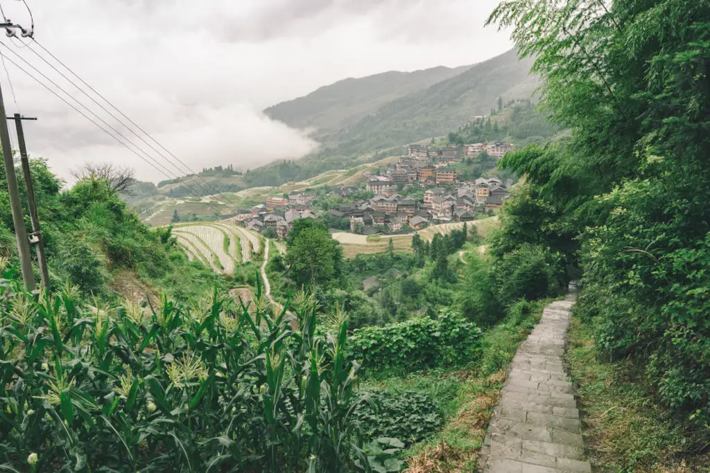 Hiking the Longji Rice Terraces: A Complete Guide