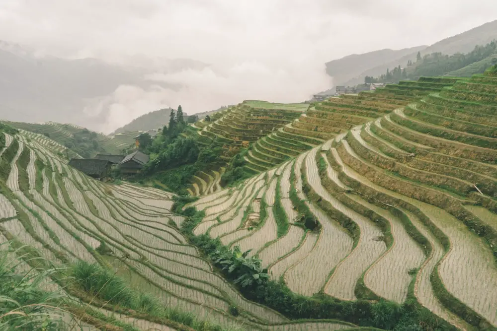 Hiking the Longji Rice Terraces: A Complete Guide