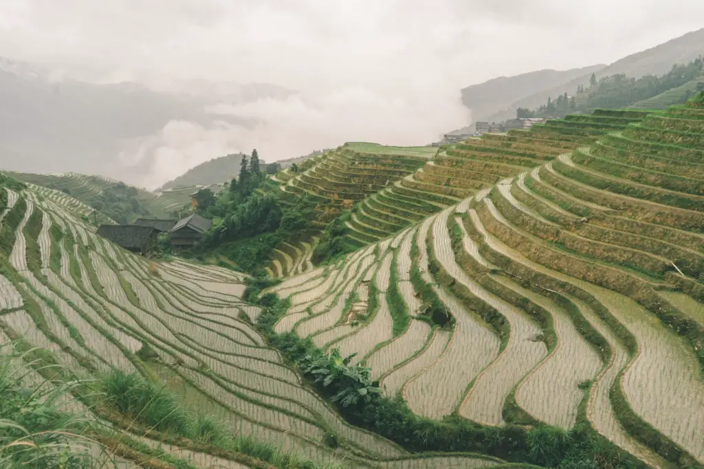 Hiking the Longji Rice Terraces: A Complete Guide