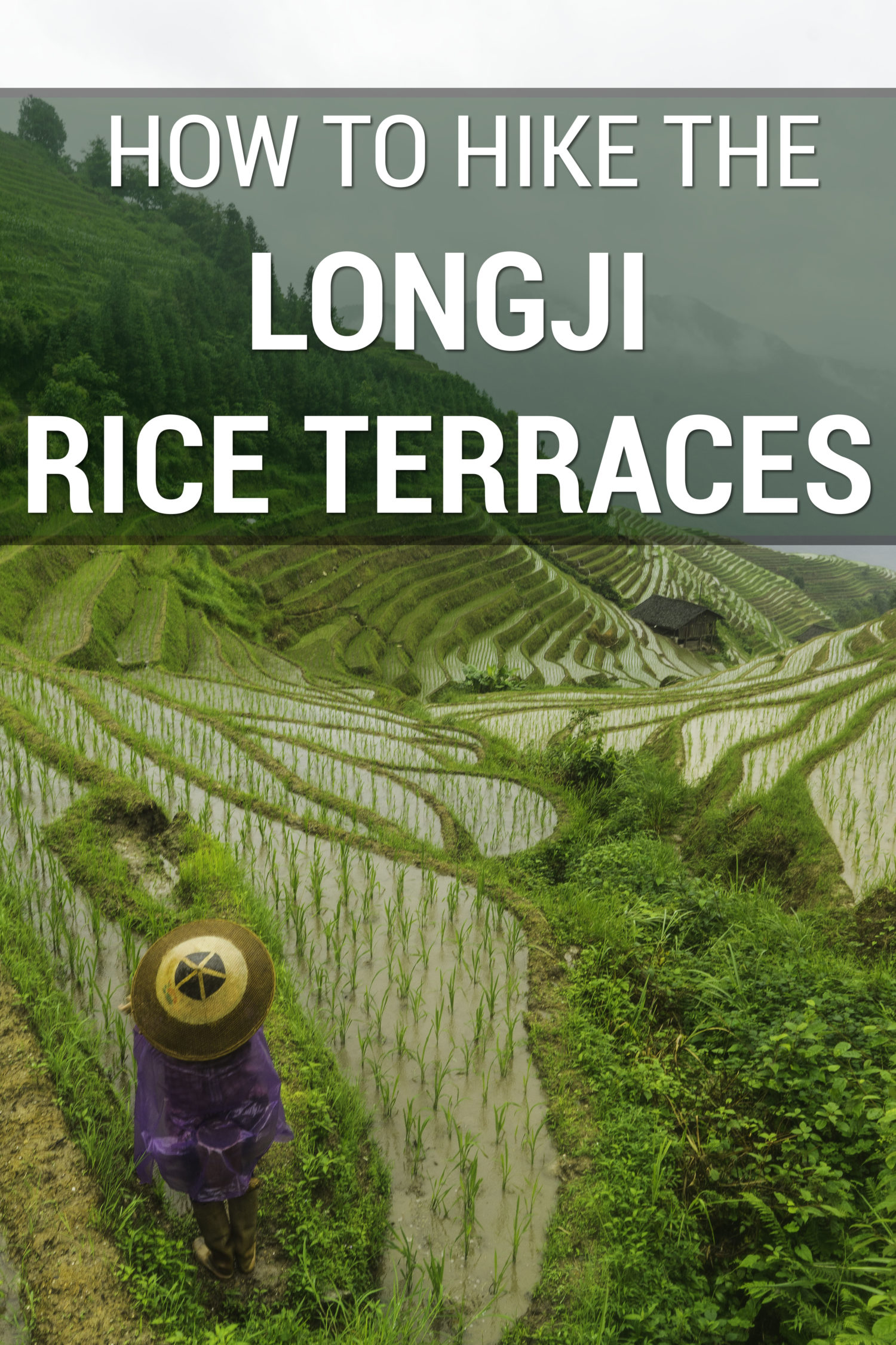 Hiking the Longji Rice Terraces: A Complete Guide