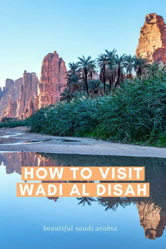 How To Visit Wadi Al-Disah - Everything You Need To Know (2020)